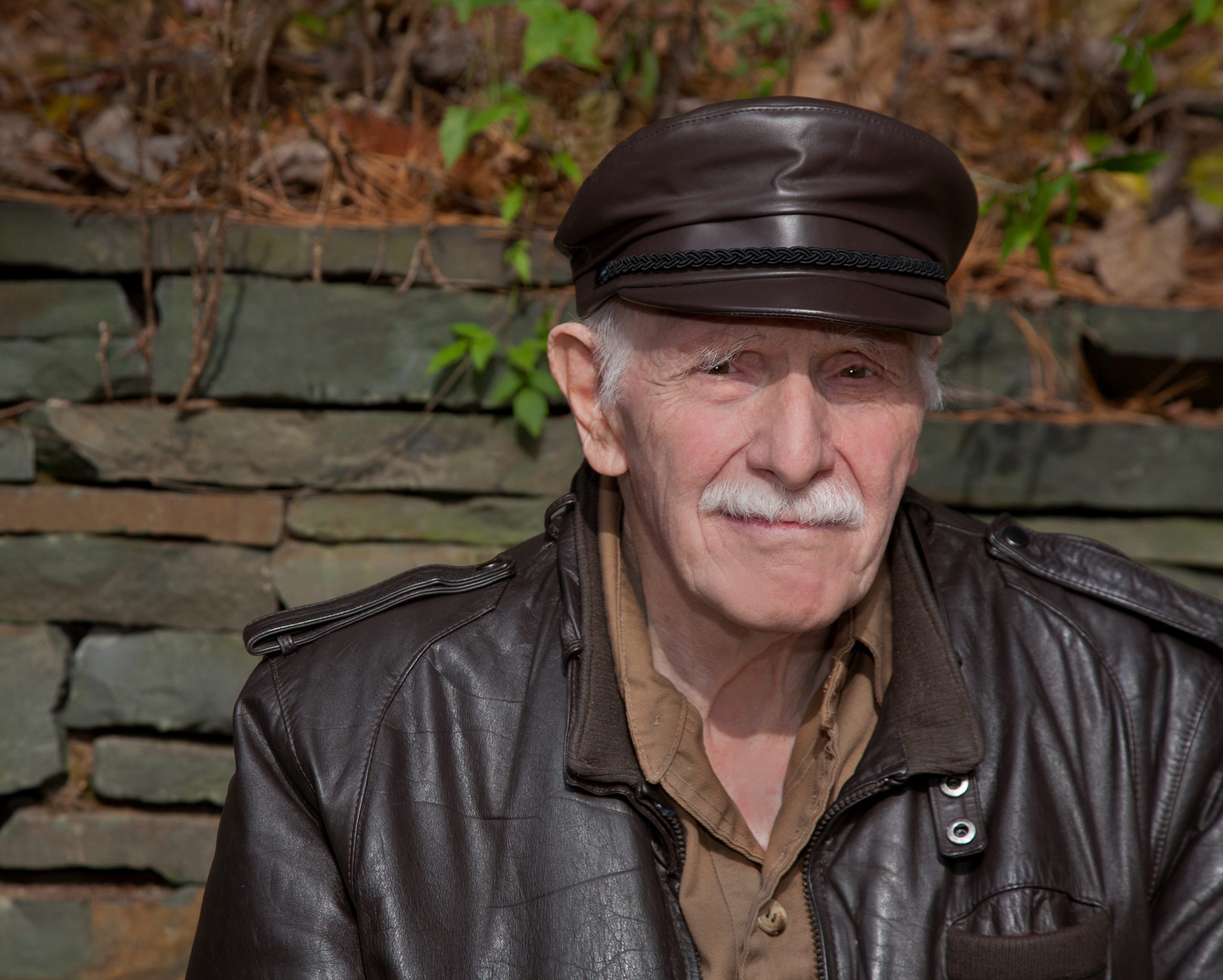 imagepersico – Forward with Roosevelt