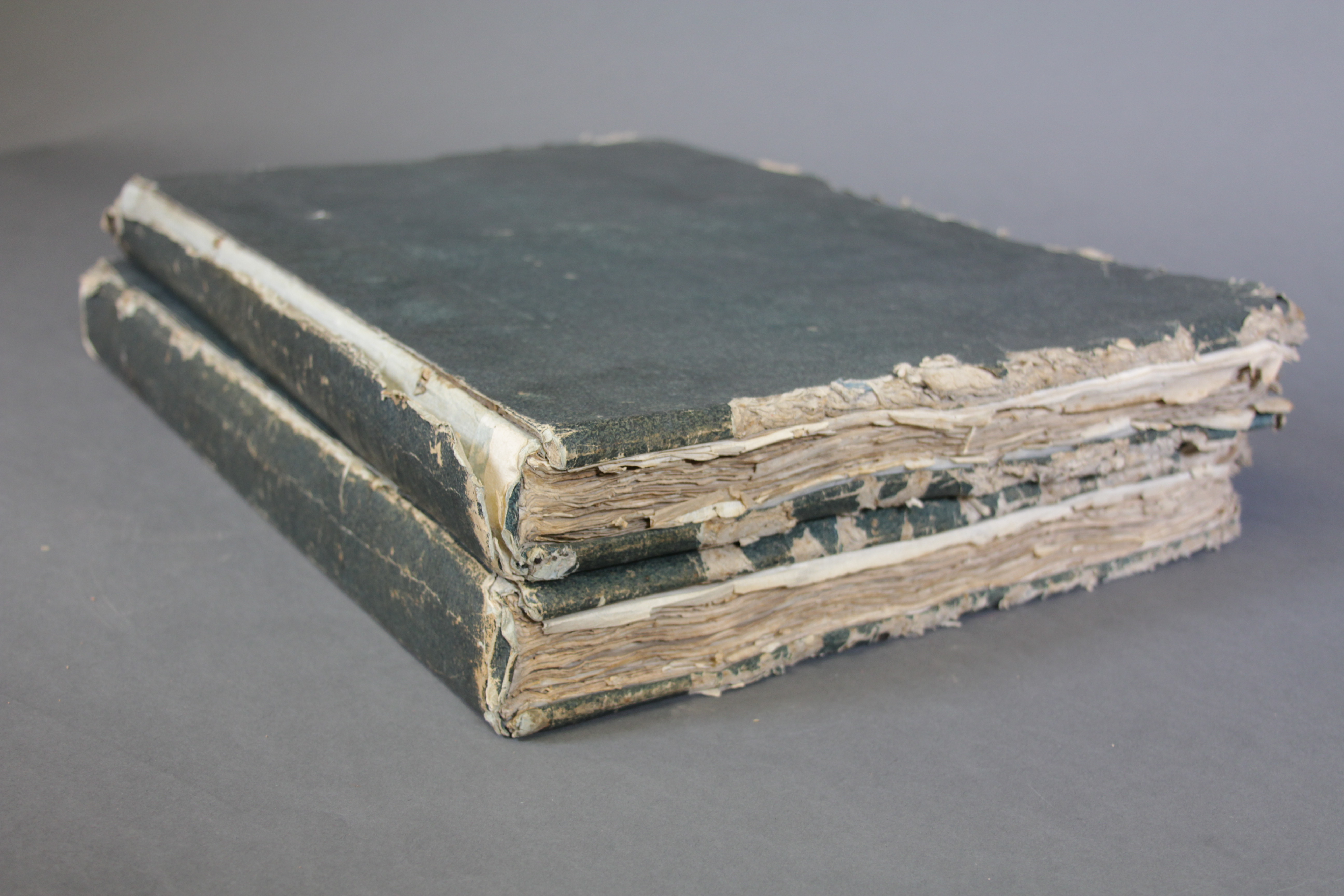 Hidden Treasures: FDR’s Rare Bird Books – Forward with Roosevelt