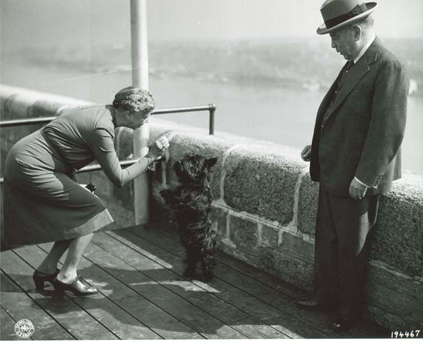 Fala: The Most Famous Dog in America – Forward with Roosevelt