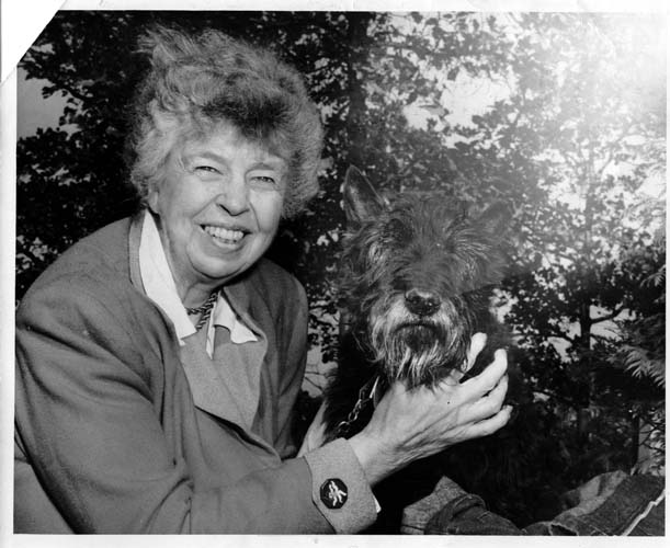 Fala: The Most Famous Dog in America – Forward with Roosevelt