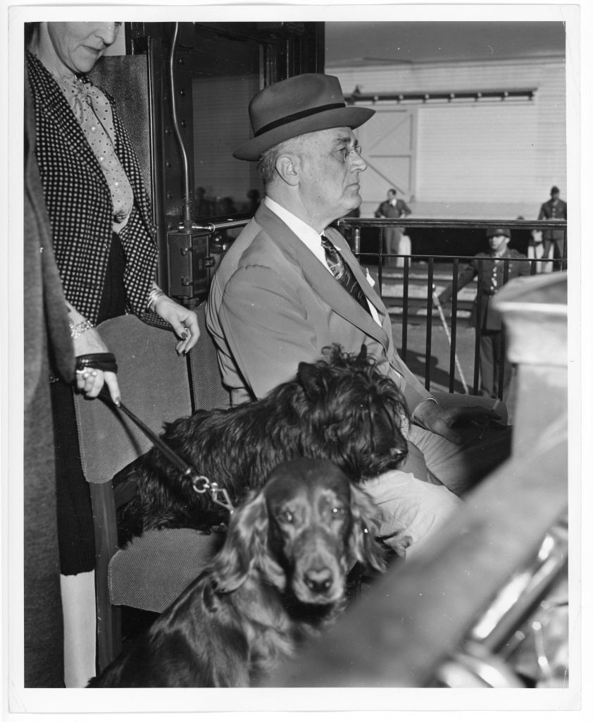 Fala: The Most Famous Dog in America – Forward with Roosevelt