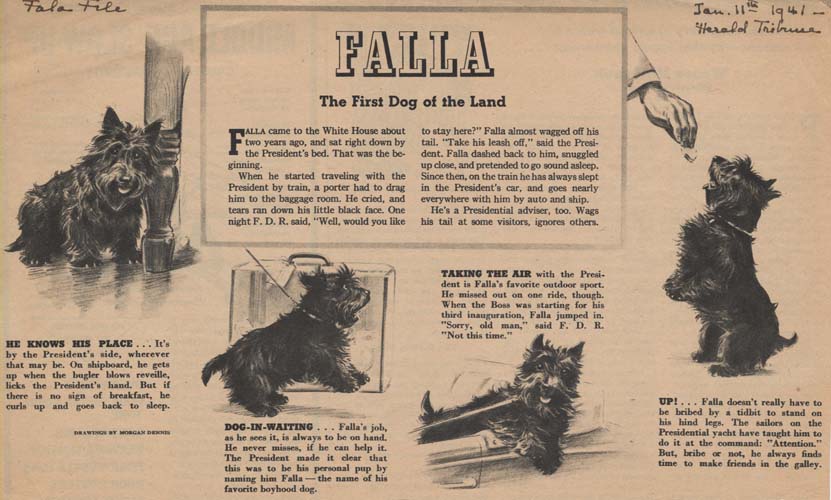 Fala: The Most Famous Dog in America – Forward with Roosevelt
