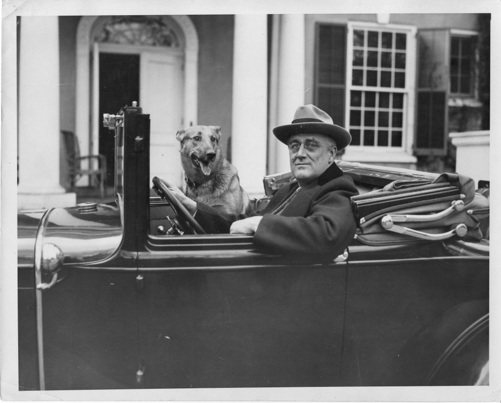 Fala: The Most Famous Dog in America – Forward with Roosevelt